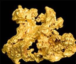 Found The Paras Stone It Will Be A 24 Carat Gold In Droves - Amar Ujala ...