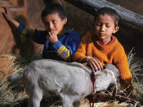 बलि प्रथा पर बनी फिल्म ‘आस’ को मिला अवार्ड - Kumaun Film Aas Best ...