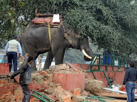 जरा गौर से देखिए इस आशिक हाथी को - The Elephant Raging On The Rajghat ...