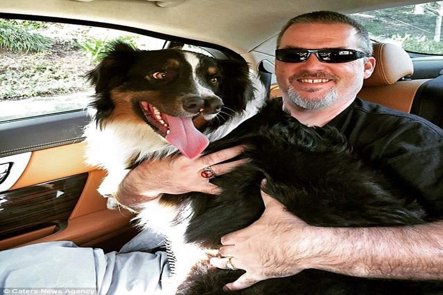 लॉस एंजेल्स में रहता है दो नाक वाला कुत्ता - Two Noses Dog Found In Los ...