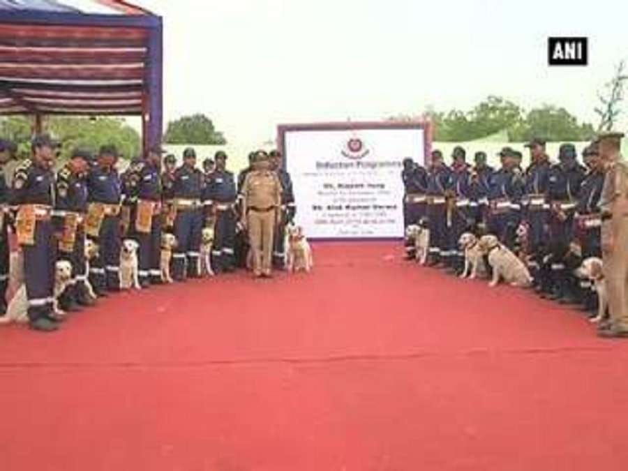 30 Trained Dogs Inducted In Delhi Police Dog Squad - Amar Ujala Hindi ...