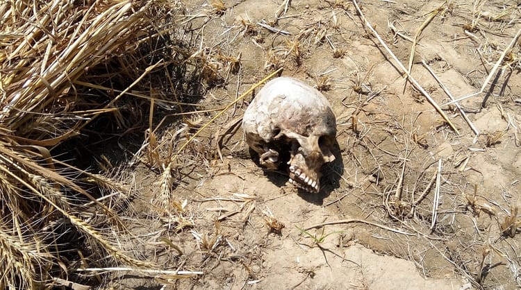 Maharashtra Crime: 11 Human Skulls And 56 Bones Recovered From A ...