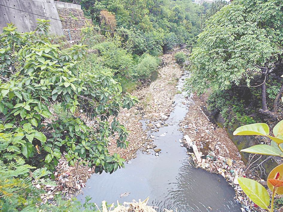 संडे स्पेशल:गंगा की बड़ी बहन देविका देख रही मुक्ति की राह - Sunday ...