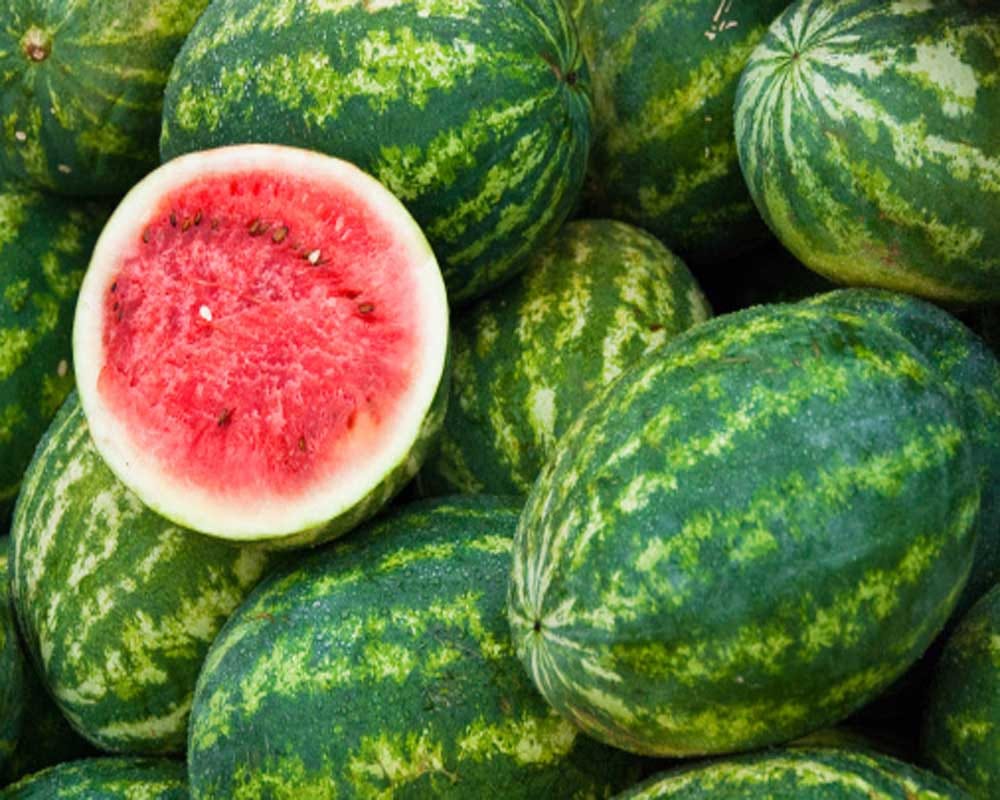 Tips To Buy Sweet Watermelon:तरबूज मीठा है या नहीं, खरीदते समय इन ...