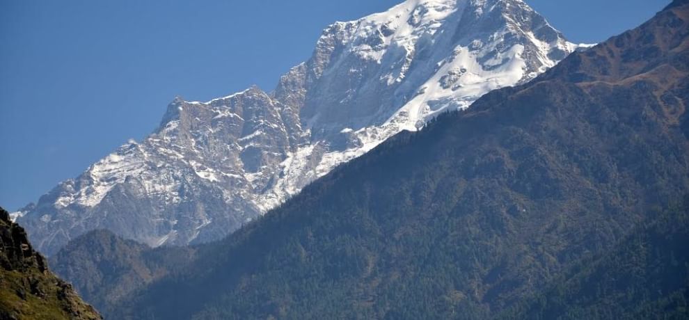 बजट के फेर में उलझी संजीवनी बूटी की खोज - Sanjeevani Buti Search In ...