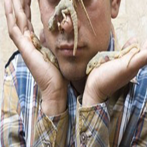 रोज छिपकली खाता है ये शख्स, कारण जानकर चौंक जाएंगे - Men Eats Lizard ...