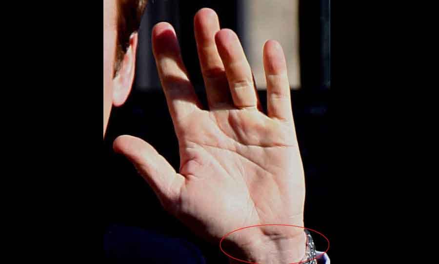 Palmistry Know How Your Health And Prosperity Are From The Manibandh ...