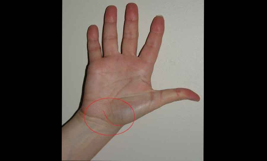 कलाई पर स्थित मणिबंध रेखा सा जुड़ी होती है हमारी सेहत और समृद्धि, जानिए ...