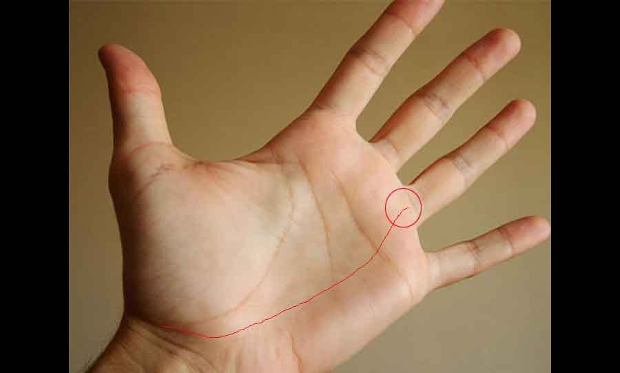 ऐसी मणिबंध रेखा आपकी हथेली में है तो आपको धनवान बनने और बड़े पद पर जाने ...