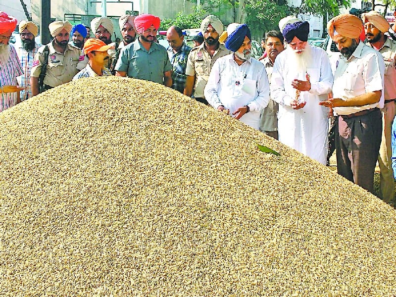 Mandi, Tota Singh In Khanna Mandi, Ludhiana Minister - Amar Ujala Hindi ...