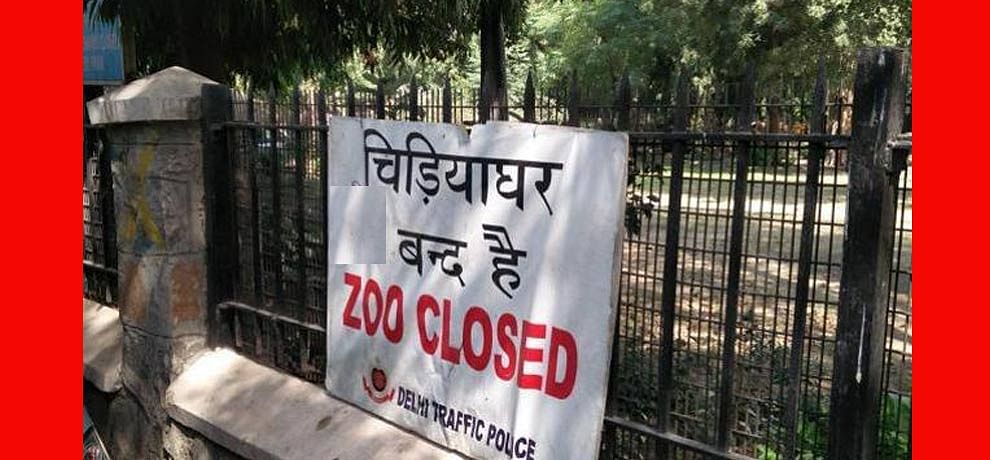 Bird Flu Declared In Delhi Zoo, Shut For Visitors After Many Birds ... Bird Flu Declared In Delhi Zoo, Shut For Visitors After Many Birds ...