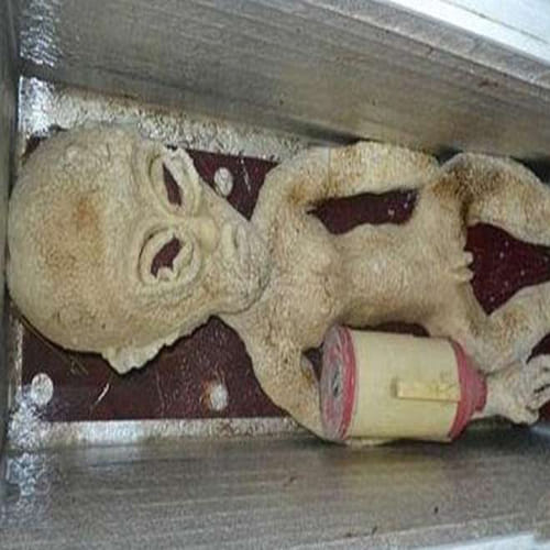 Chinese Man Reveals Pictures Of An 'alien' In His Freezer - Amar Ujala ...
