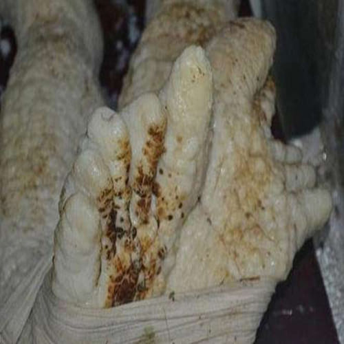 इस शख्स ने अपने फ्रीजर में रखा हुआ है 'एलियन', सच चौंकाने वाला ...