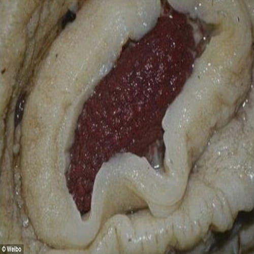 Chinese Man Reveals Pictures Of An 'alien' In His Freezer - Amar Ujala ...