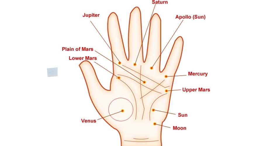हस्तरेखा देखने का तरीका, बस हथेली की इन रेखाओं और पर्वतों का रखें ध्यान ...