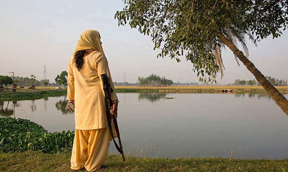 After Death Of Husband She Become Bandook Wali Chachi - Amar Ujala Hindi News Live - पति की मौत ...