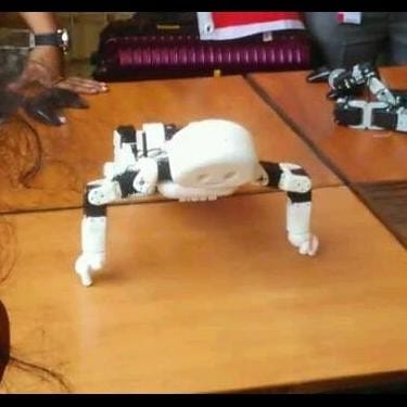 India's First 3d Printed Robot Manav In Kurukshetra, Capable Of Doing ...