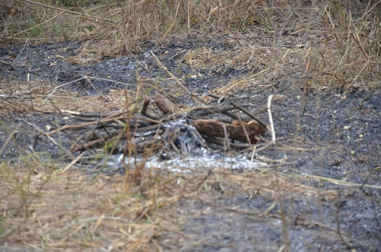 Girl Was Burnt After Killing The Girl, The Body Was Lying Smoldering In ...