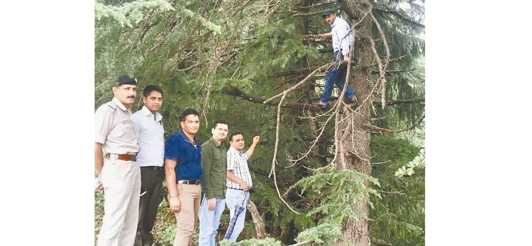 फॉरेस्ट गार्ड केस:पुलिस के बाद अब Cid चढ़ी पेड़ पर - Forest Guard Case ...