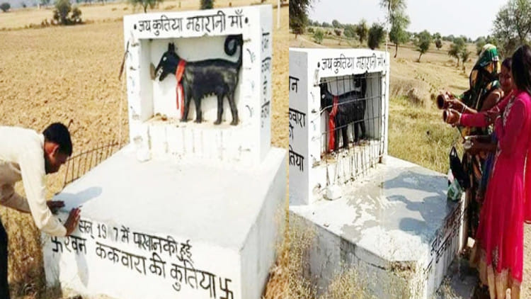 Kutiya Devi Temple In Bundelkhand - Amar Ujala Hindi News Live - ये ...