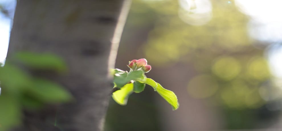 Man Mukur: A Classic Views On Feeling By Dheera Khandelwal - Amar Ujala ...