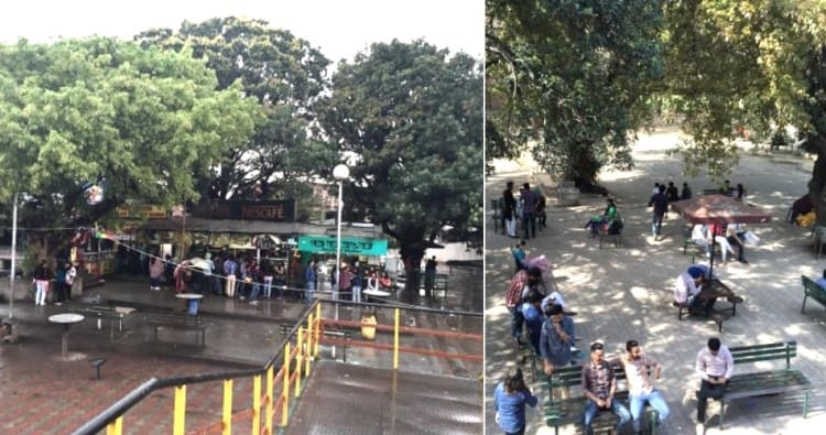 Pu:स्टूडेंट सेंटर में महंगी हुई चाय की चुस्की, अब देने होंगे इतने रुपए ...