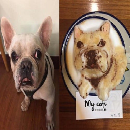 ये कॉफी है सबसे अनोखी, जहां परोसे जाते हैं कॉकरोच-छिपकली - Taiwan ...