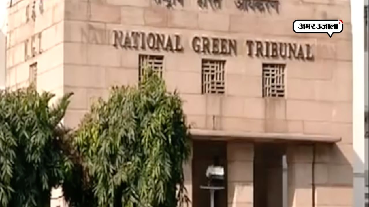 Know More About National Green Tribunal, How Ngt Works - Amar Ujala ...