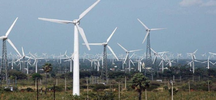Wind Mills Have Addressed The Power Needs Of Gujarat - Amar Ujala Hindi ...