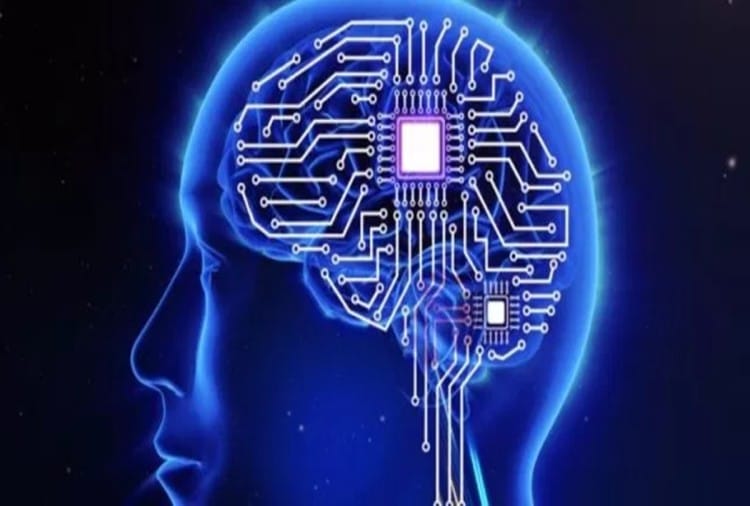 Know About The Part Of The Brain, Which Is Known As Cpu - Amar Ujala ...