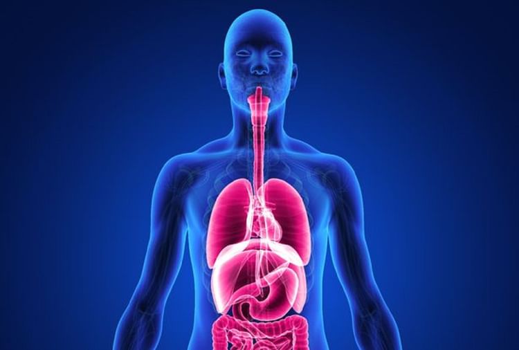 How To Detox Your Body Easily, Best Detox Drinks And Food In Hindi ...