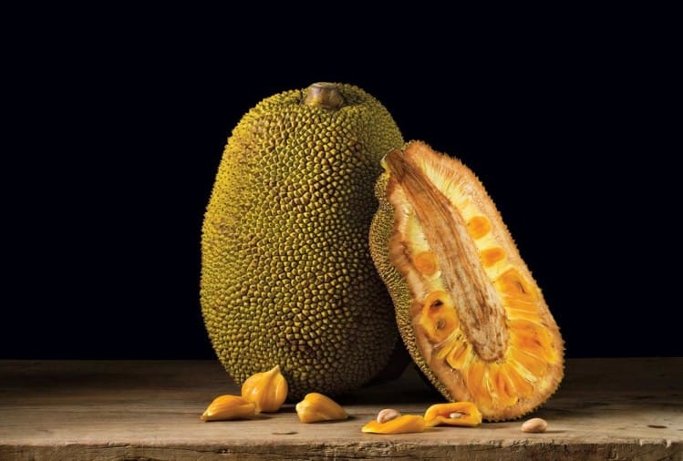 Jackfruit:भारत में उगा और पड़ोसी देश का बना राष्ट्रीय फल, जानें कटहल से ...