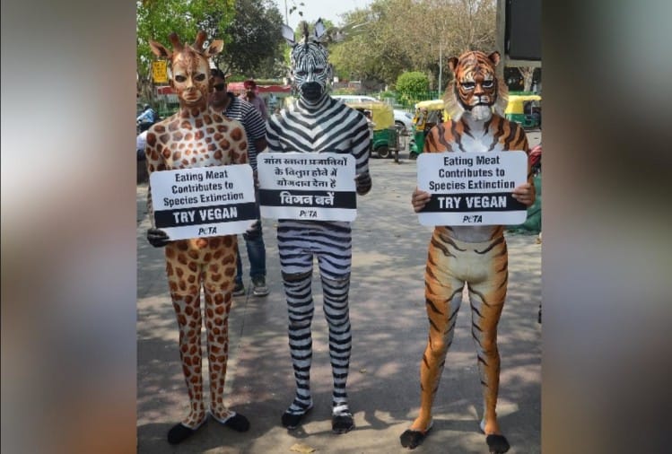 Pics:बाघ, ज़ेबरा और जिराफ का रूप धरकर पेटा कार्यकर्ताओं ने मांसाहार के ...