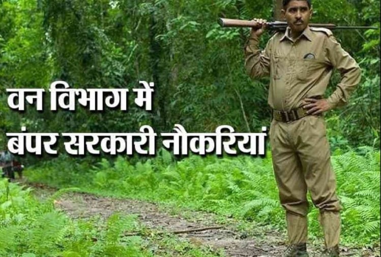 Up Van Daroga Recruitment 2022:यूपी वन दरोगा के 701 पदों पर भर्ती शुरू ...