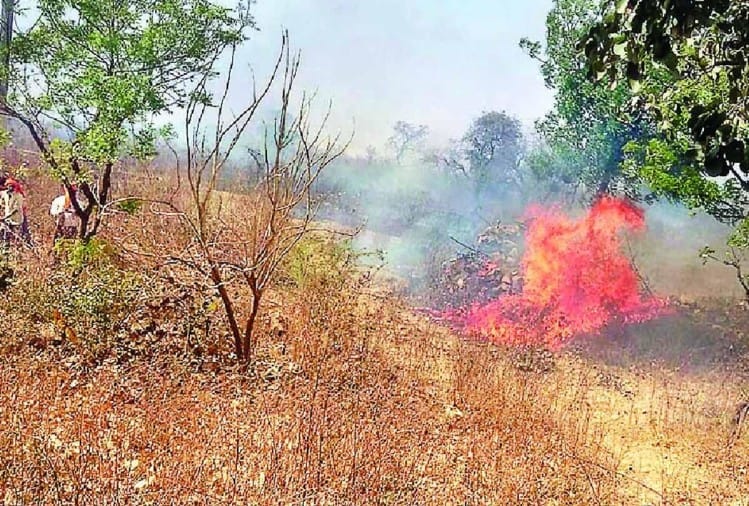 Photos: भगवान श्रीराम के वनवास स्थल पर 'कुदरत का कहर', जिंदा जल रहे ...