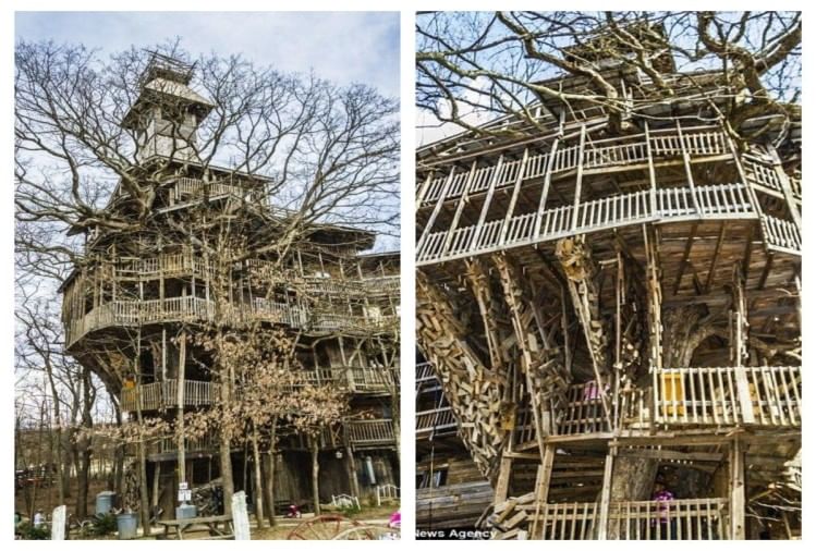 ये है दुनिया का सबसे ऊंचा ट्री हाउस, हाइट जानकर दांतों तले दबा लेंगे ...