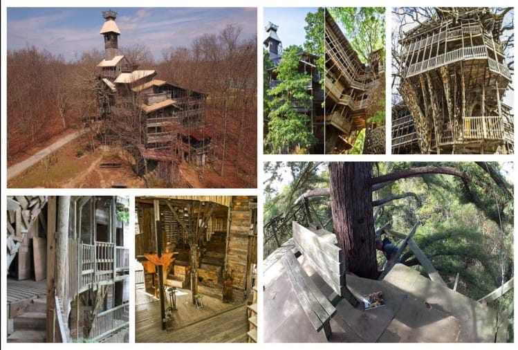 ये है दुनिया का सबसे ऊंचा ट्री हाउस, हाइट जानकर दांतों तले दबा लेंगे ...