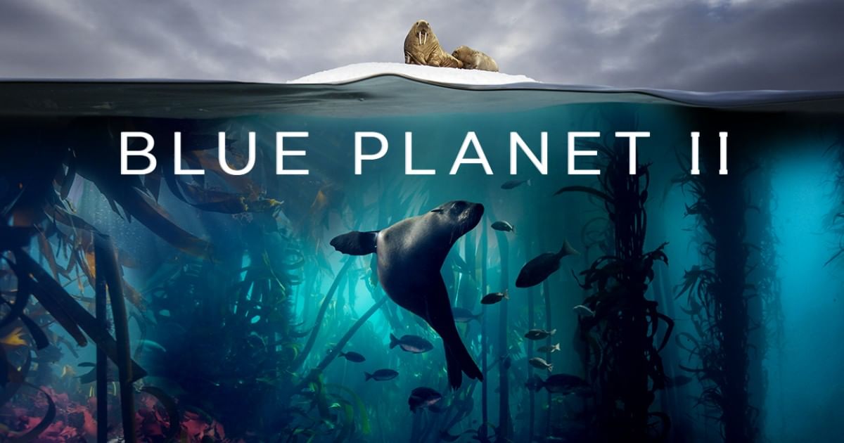 British Tv Series Blue Planet 2 Now Will Release In India - Amar Ujala ...