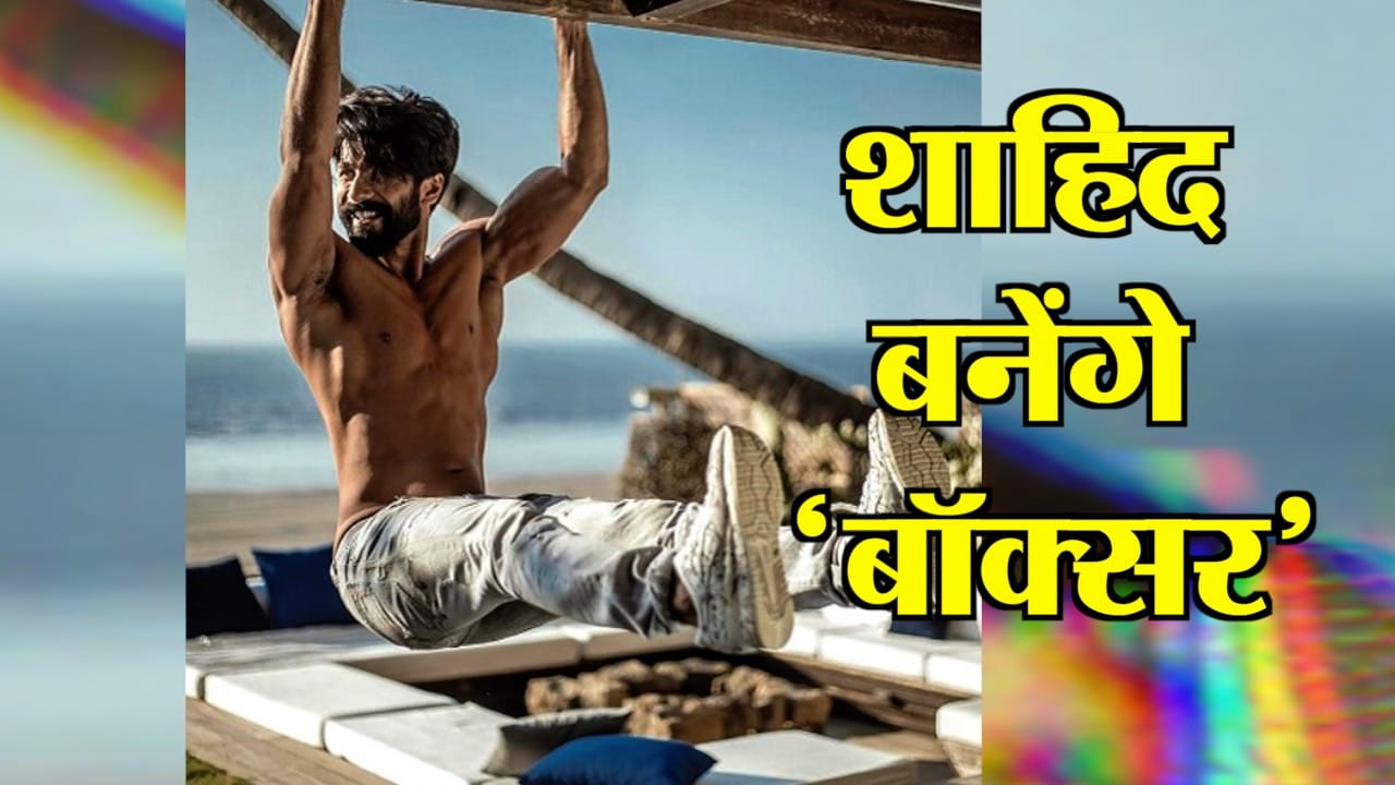 Shahid Kapoor New Movie Boxer Raja Krishna Menon Bollywood News ...