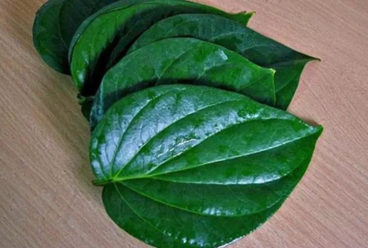 Chaitra Navratri Paan Ke Upay:नवरात्रि में धन वृद्धि के लिए करें पान के ...