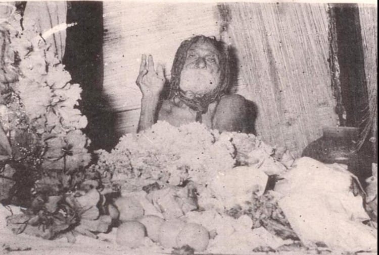 Who Was Devraha Baba Know Story Facts And Biography Of Devraha Baba ...