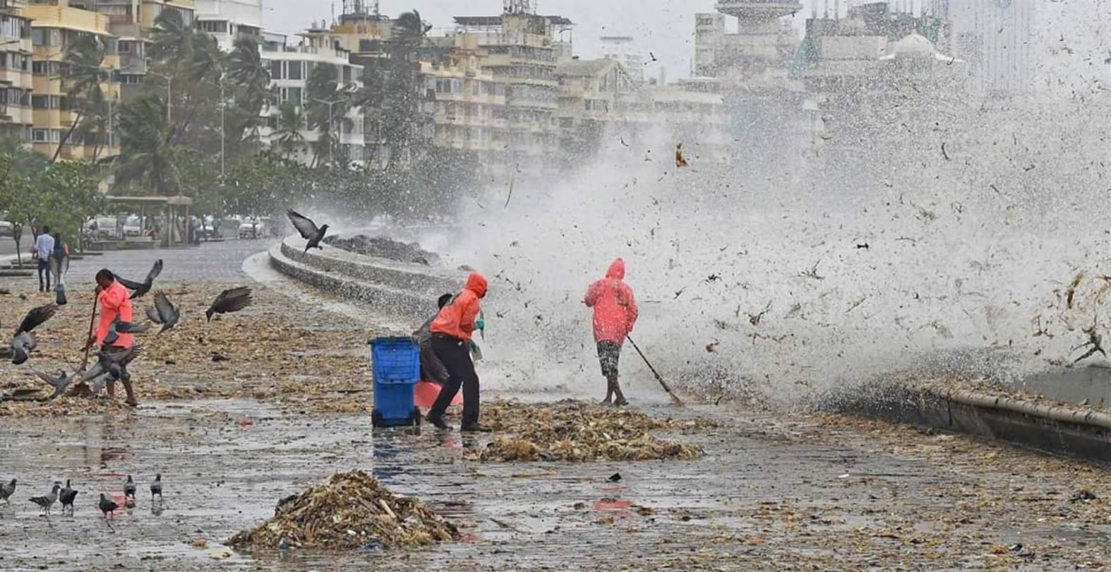 Mumbai: High Tide Brings Garbage From The Sea Onto Marine Drive - Amar Ujala Hindi News Live ...