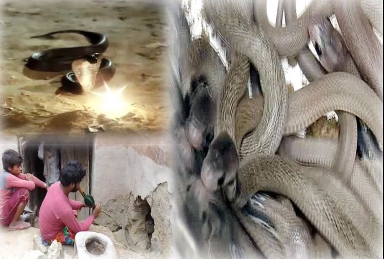 Photos:कन्नौज में 'नागमणि' की चर्चा, घर की खुदाई में निकले दर्जनों ...