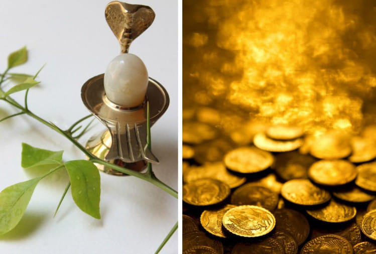 Sawan 2019 Know Important Fact About Bilva Patra (bel Patra) For Shiv ...