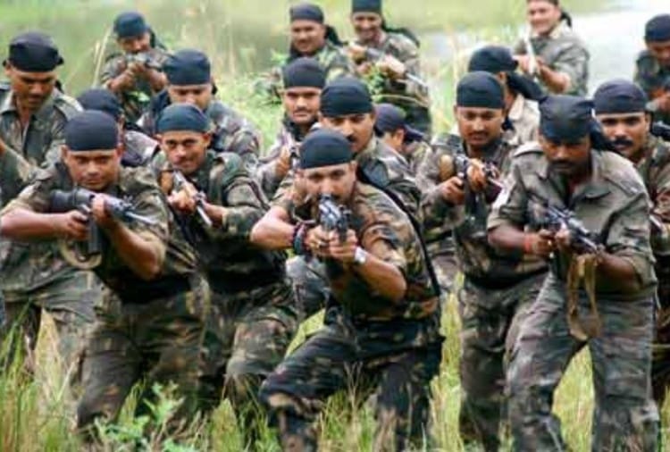 Fight Like C-60 Commandos Of Maharashtra In Naxal Effected States ...