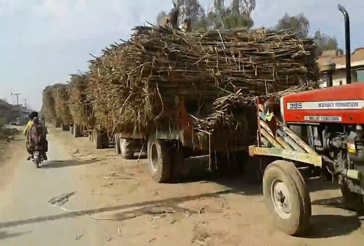 Farmers Sugarcane Payment Of Five Hundred Crore On Sugar Mills In ...