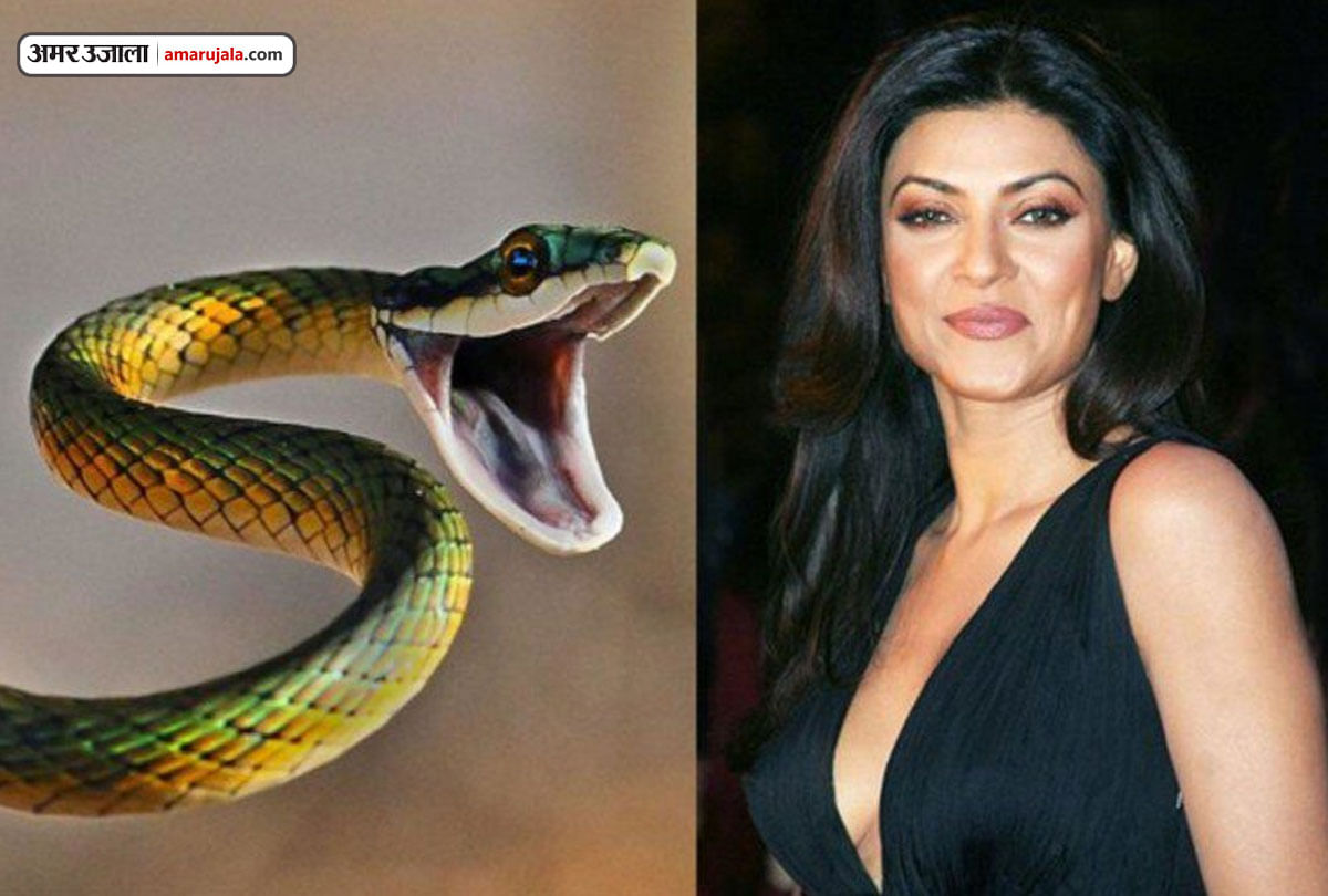 Jammu Birthday Special Bollywood Actress Sushmita Sen Has A Pet Python ...