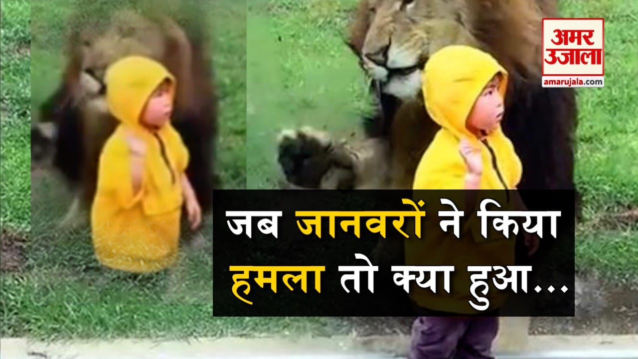 Viral Video Of Ms Dhoni With Daughter Jiva At Sea Beach - Amar Ujala ...