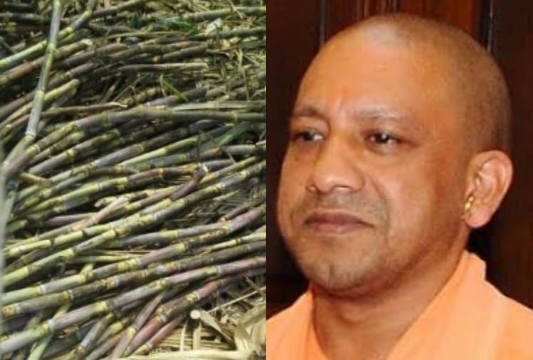 बागपत :मलकपुर चीनी मिल के खिलाफ बड़ी कार्रवाई, 105.75 करोड़ की आरसी ...