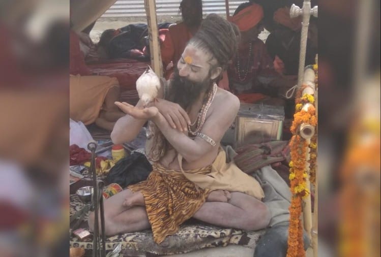 कुंभ 2019:तस्वीरों में देखें, अनोखे बाबाओं के निराले अंदाज - Different ...